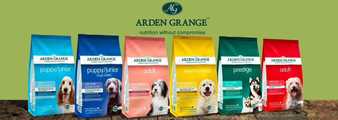 XOXOtails - Trusted Online Pet Store | Pet Services At Home